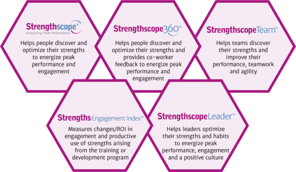 Strengths-based coaching and development